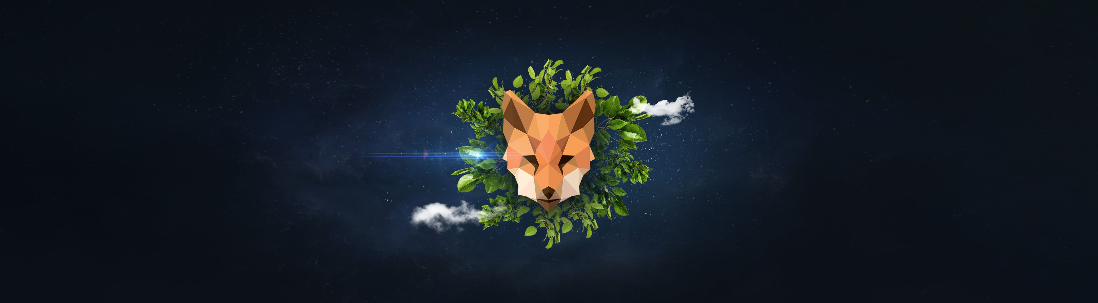 MetaMask setup - Creatokia